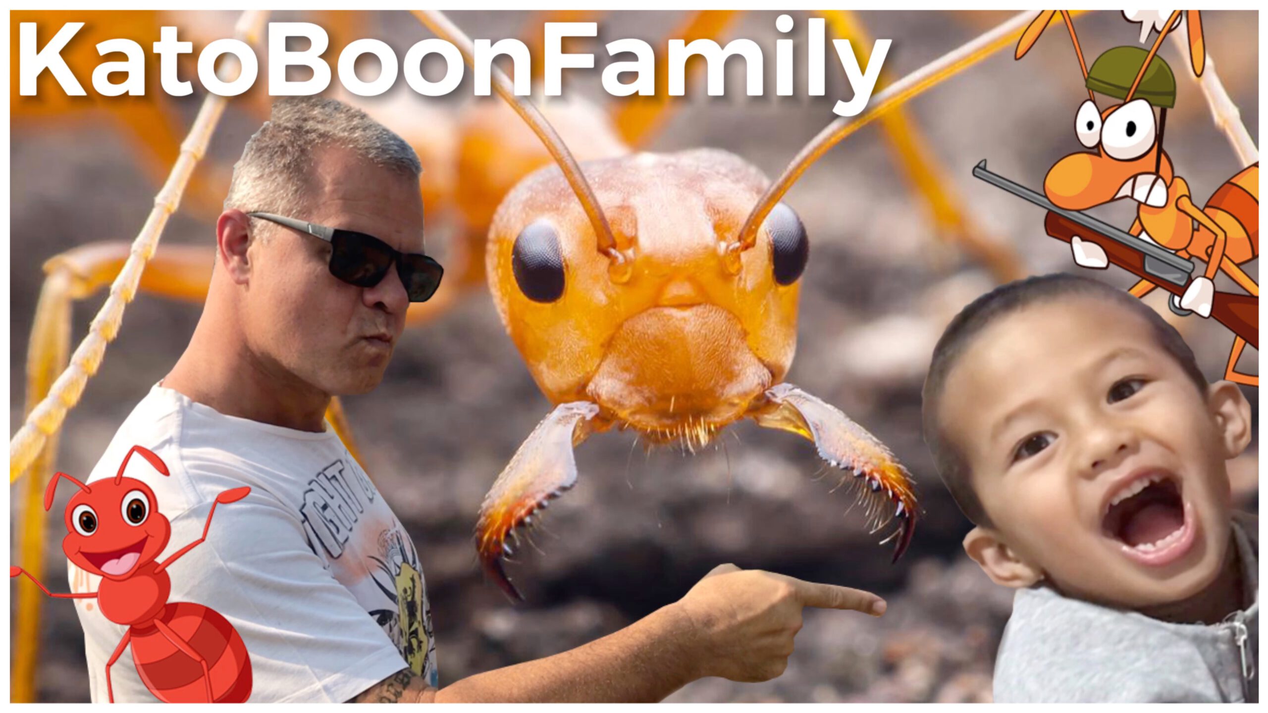 Red Ants attack rascal kid Kato Boon - Kato Boon Family
