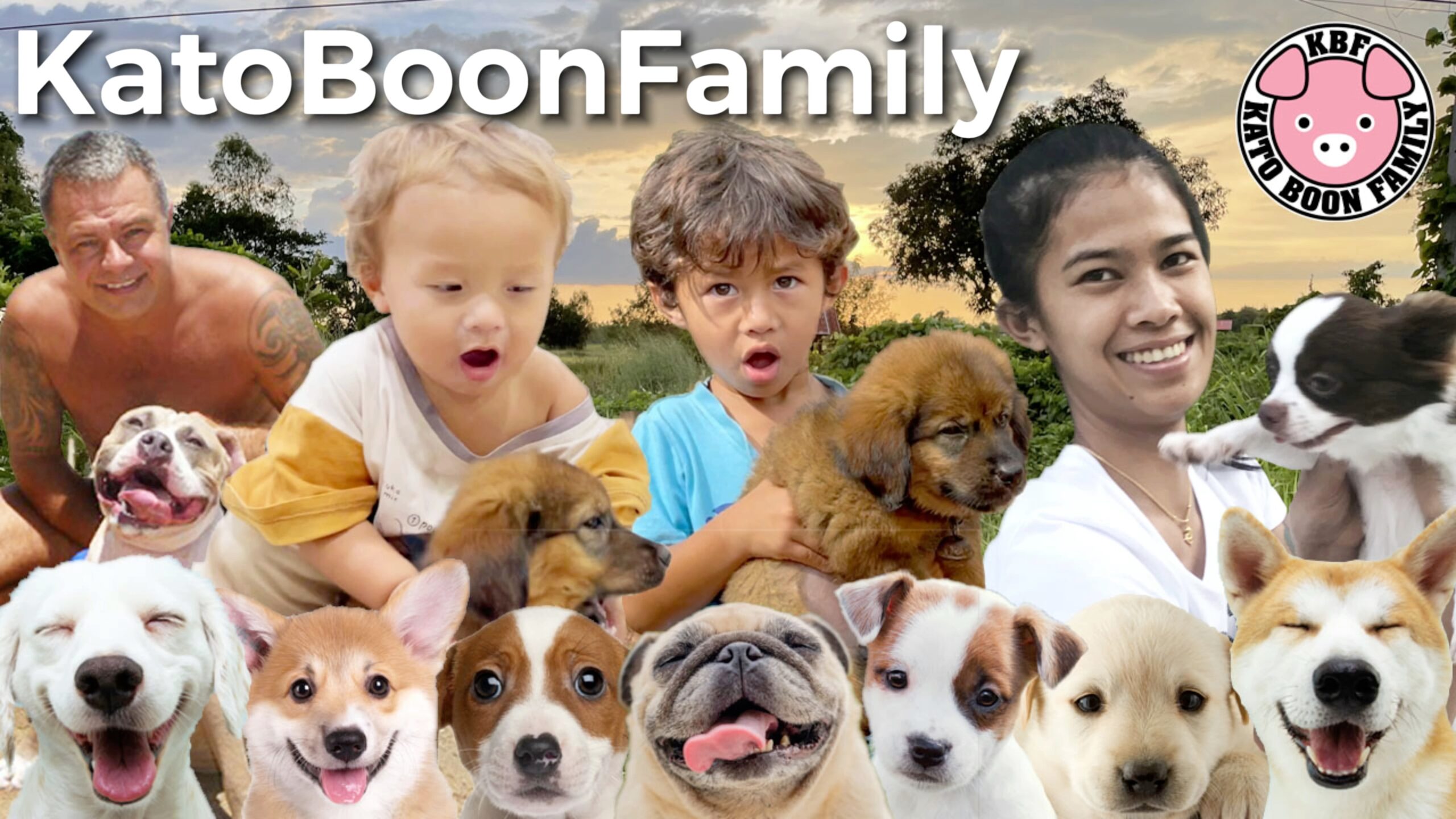 Puppies & Dogs love KatoBoonFamily, Cuteness Alert. - Kato Boon Family