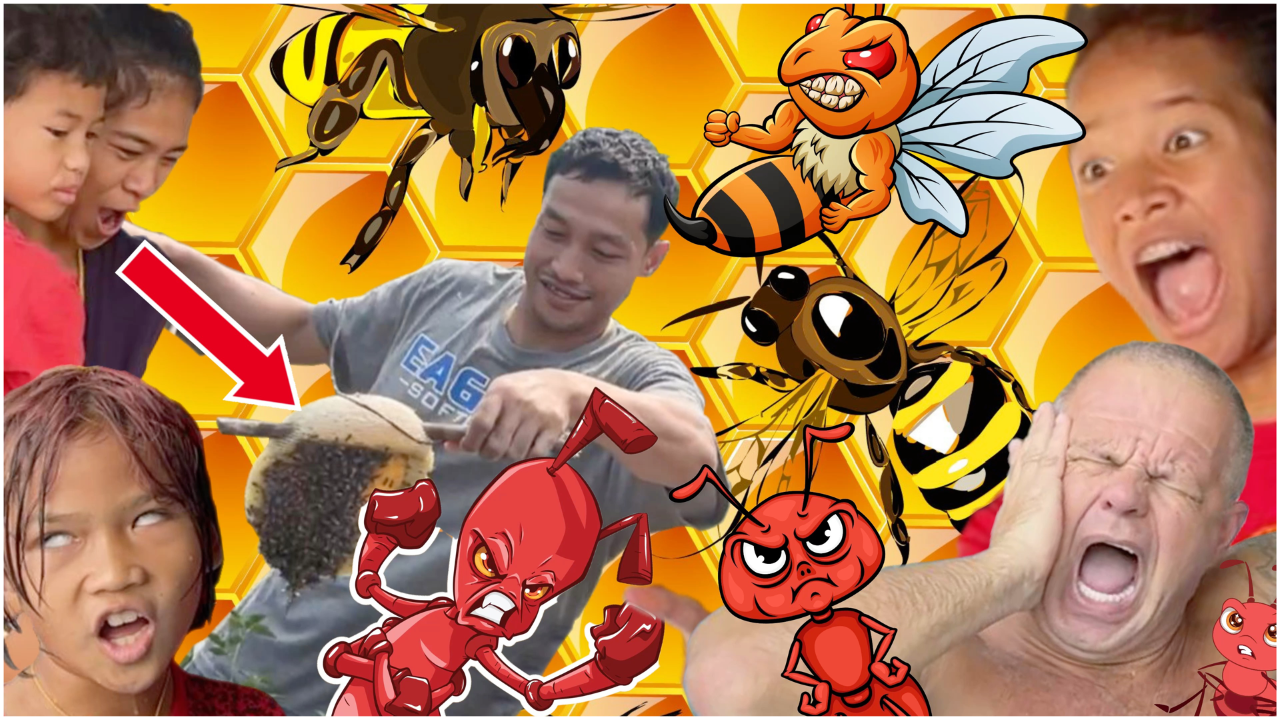 Bees and Red Ants Attack Boon Family - Kato Boon Family